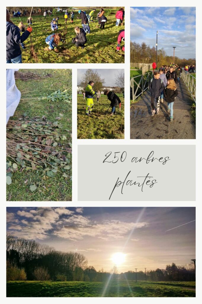 P5: Plantation de 250 arbres – Collège Cardinal Mercier